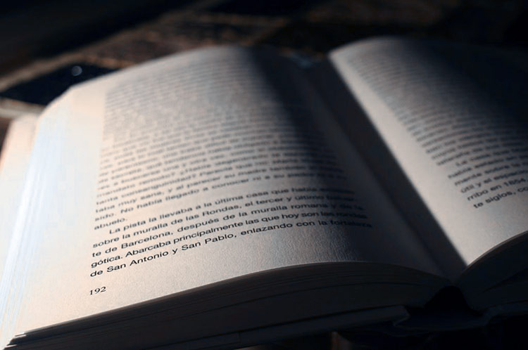 Sabiduría según la biblia hebrea ¿Qué es, quien la tiene?